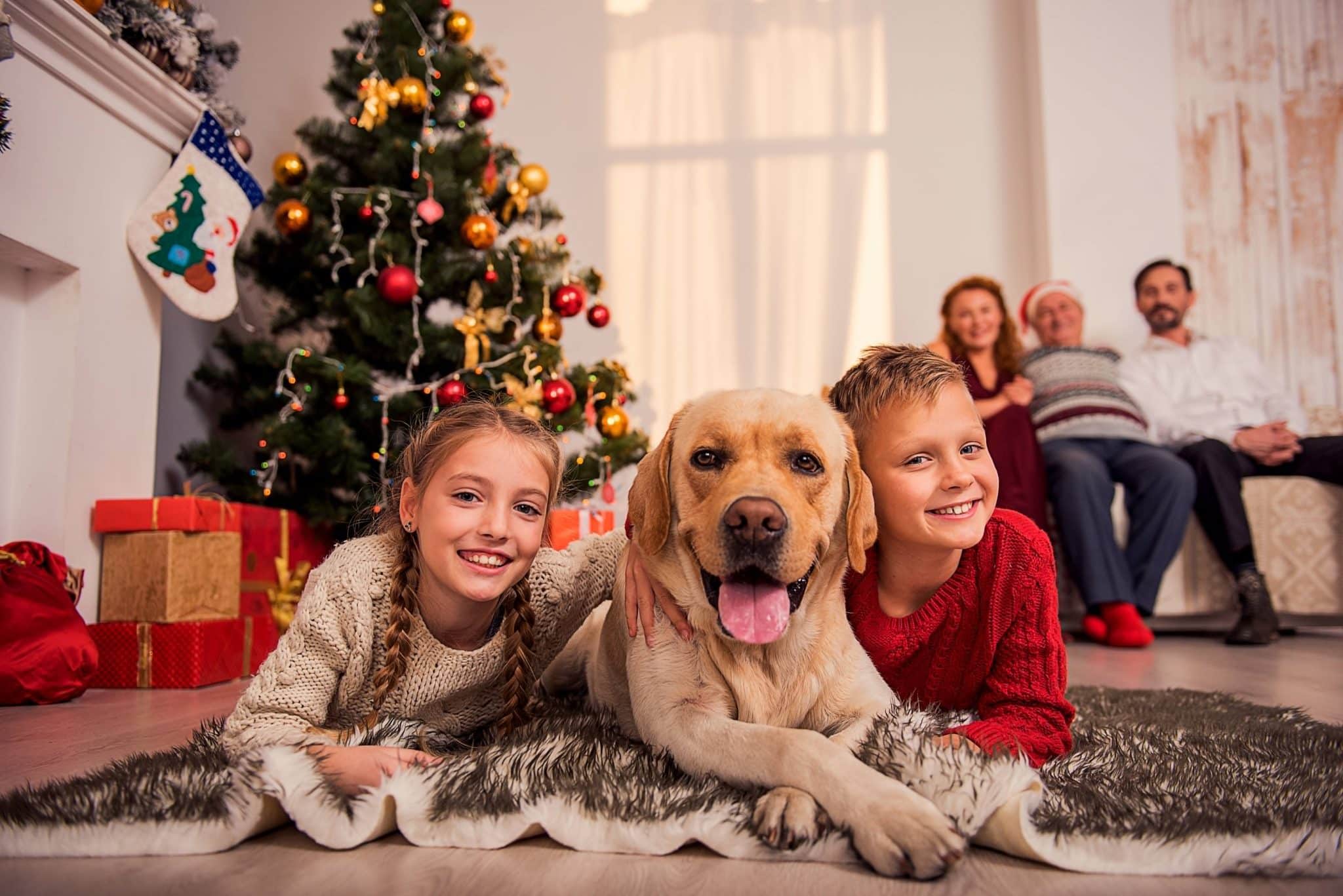 Keeping Children Safe Around Dogs - SitDropStay - Dog Training
